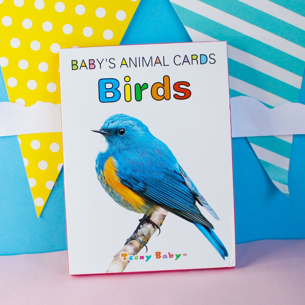 MEGA TARJETAS ANIMALES - 5 MOTIVOS (WILD OCEAN FARM BIRDS BUGS) | Imagen